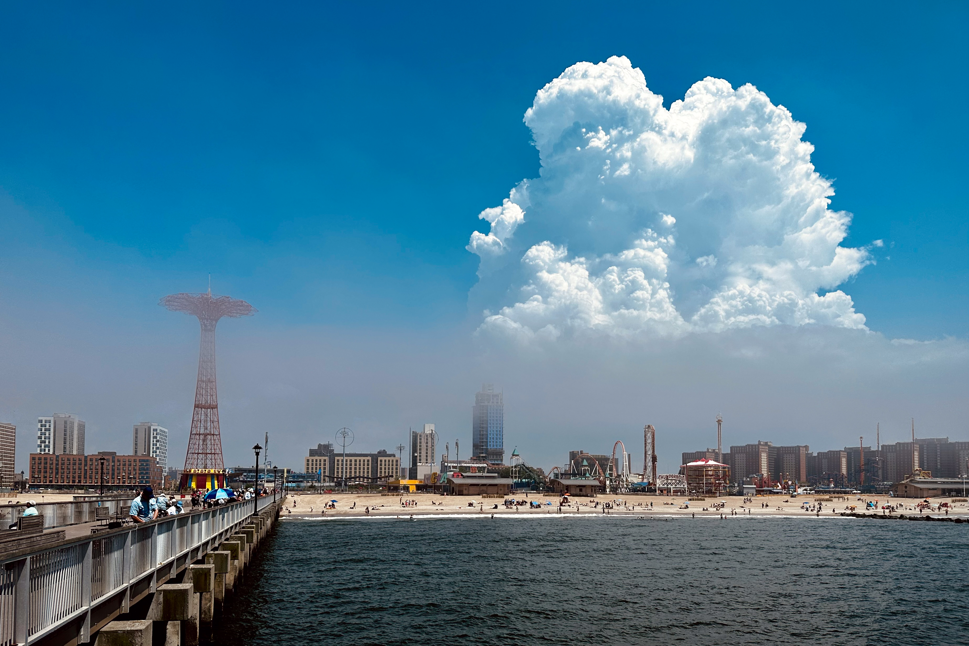 Sepia Brown Nostalgia | Donna Barten